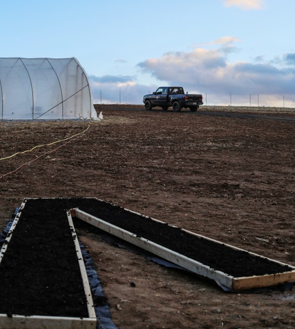 This restaurant group grows 50,000 pounds of seasonal produce on its o