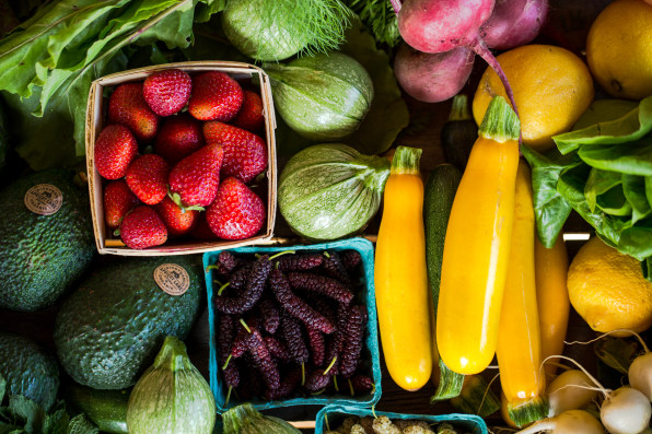 How Apricot Lane Farms restored its soil