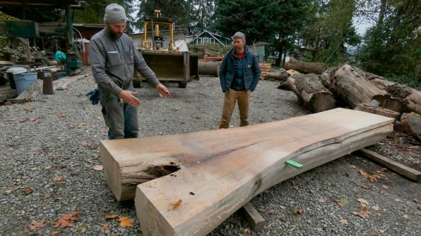 Urban wood: How companies are recycling city trees into valuable lumbe
