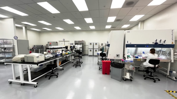 Is lab-grown meat actually better for the environment? Here’s how it s