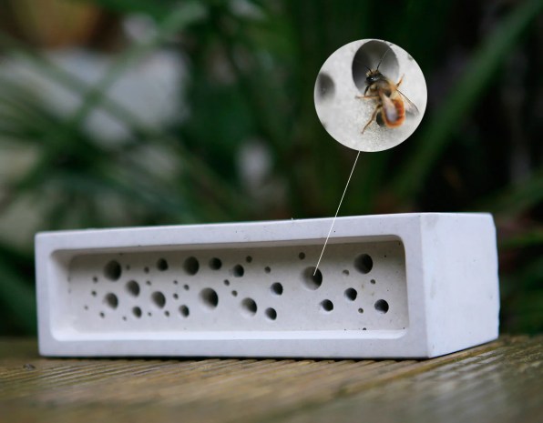 The best bricks of 2022