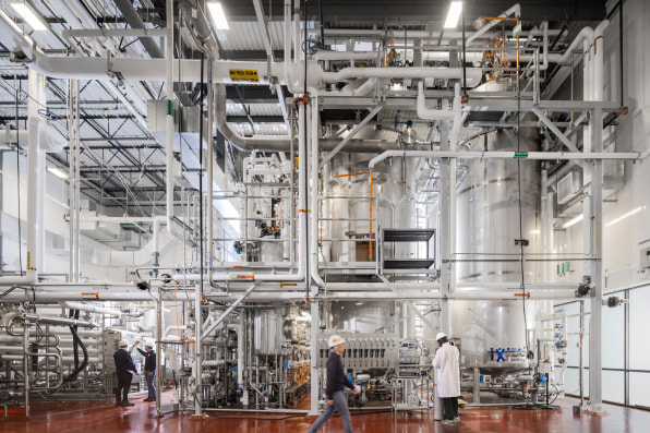 This new 'mega ranch' turns mushroom roots into meat