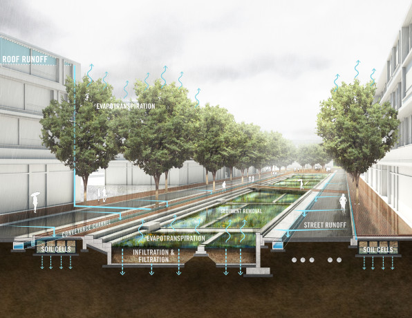 How 'sponge cities' are redesigning themselves for extreme rain