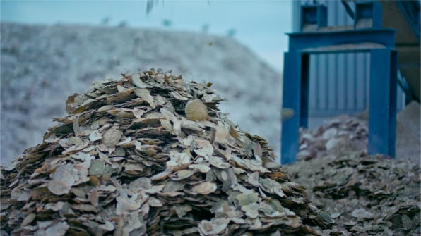 Protective headgear inspired by scallop shells