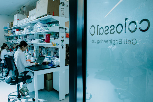 How a billion-dollar startup plans to bring back the dodo