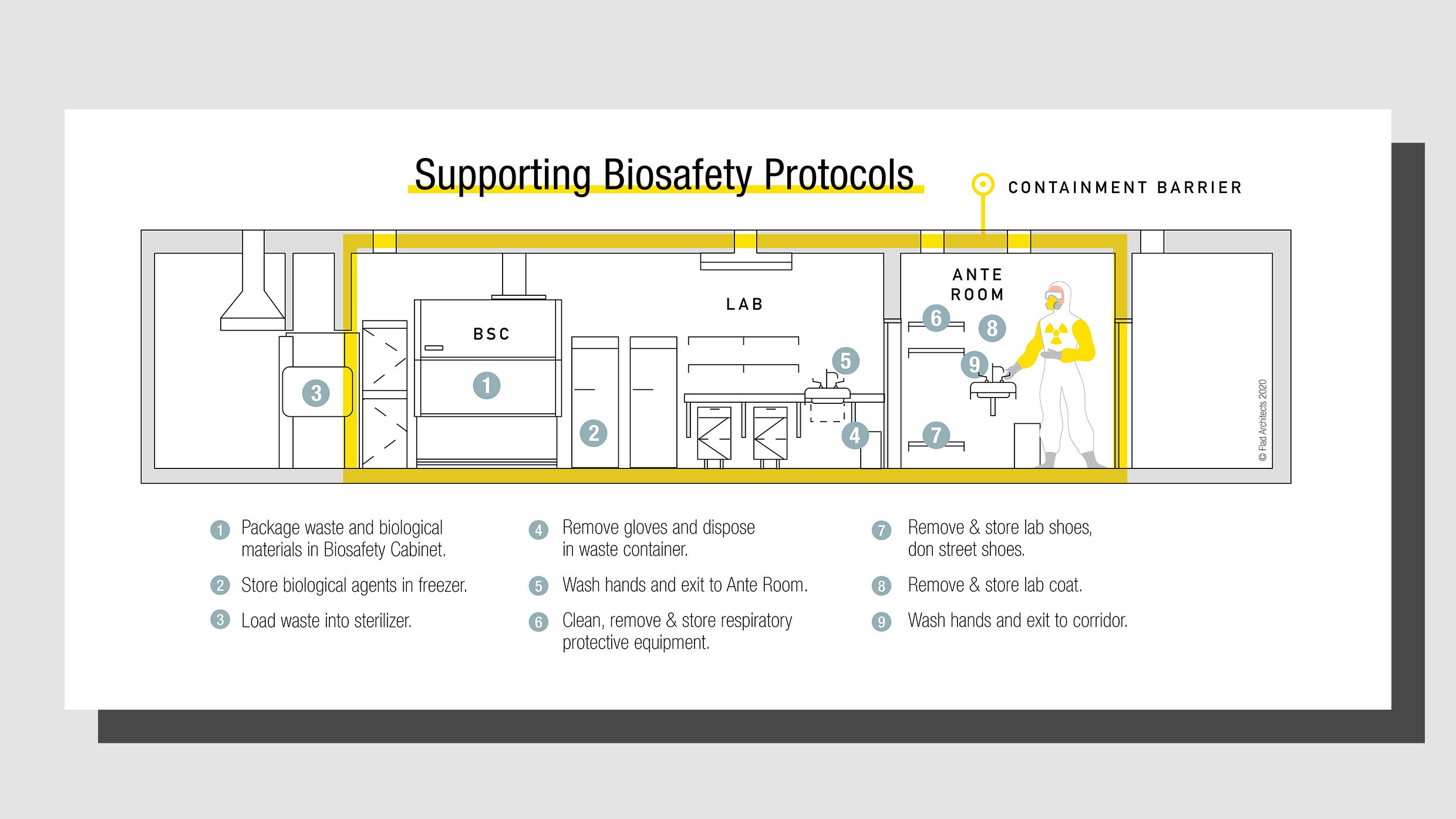 How the world's most advanced biohazard labs could prevent the next ...